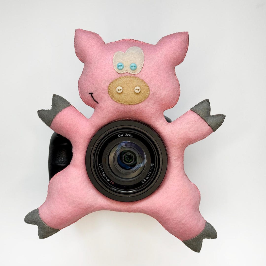 Camera Lens Buddy Photography Accessory Camera Buddy Photographer ...