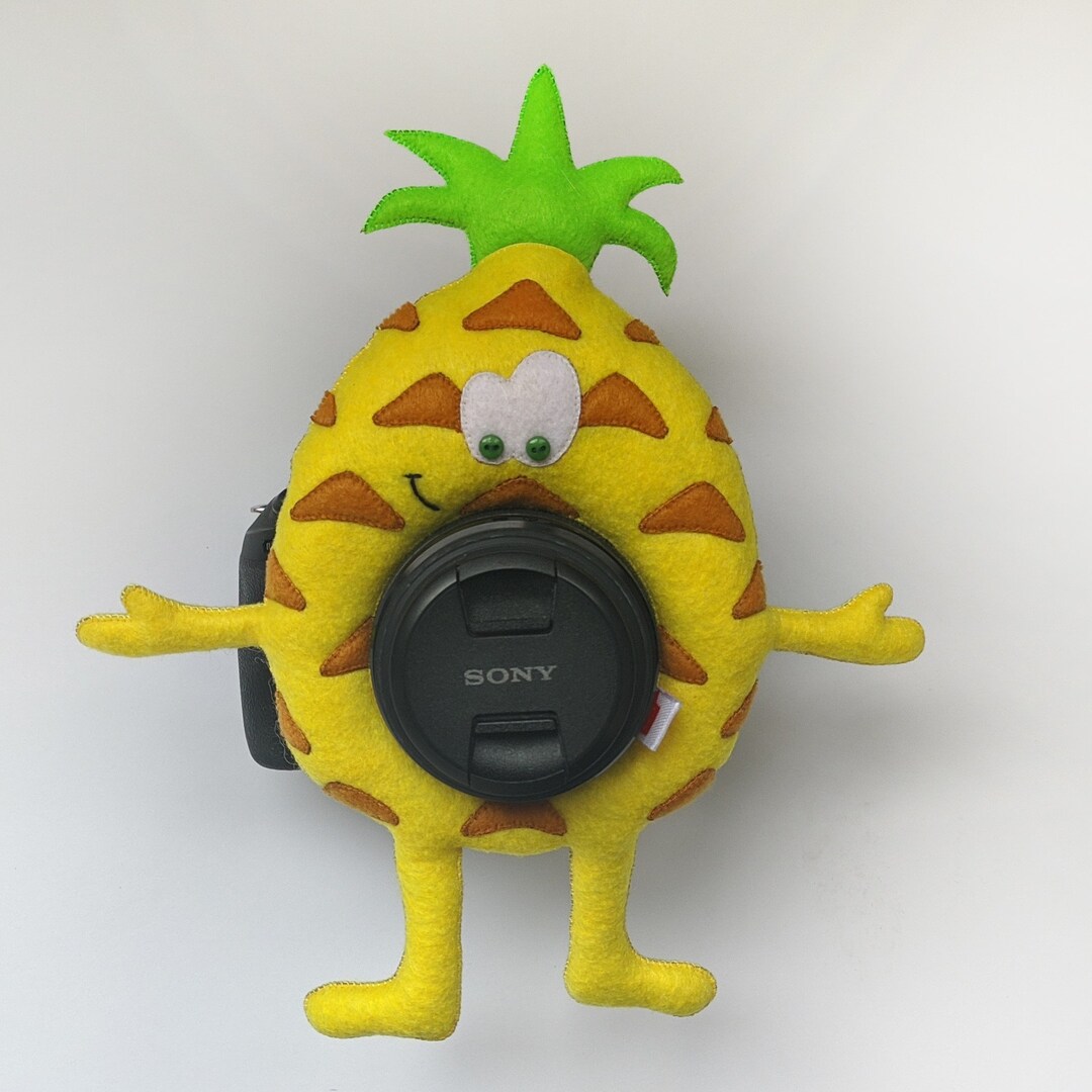 Camera Lens Buddy Camera Buddy Photography Accessory Felt Lens Buddy ...