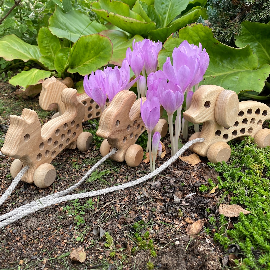 Wooden Threading Lacing Pull Toys Set Cat Rabbit Dog Horse Car Natural ...