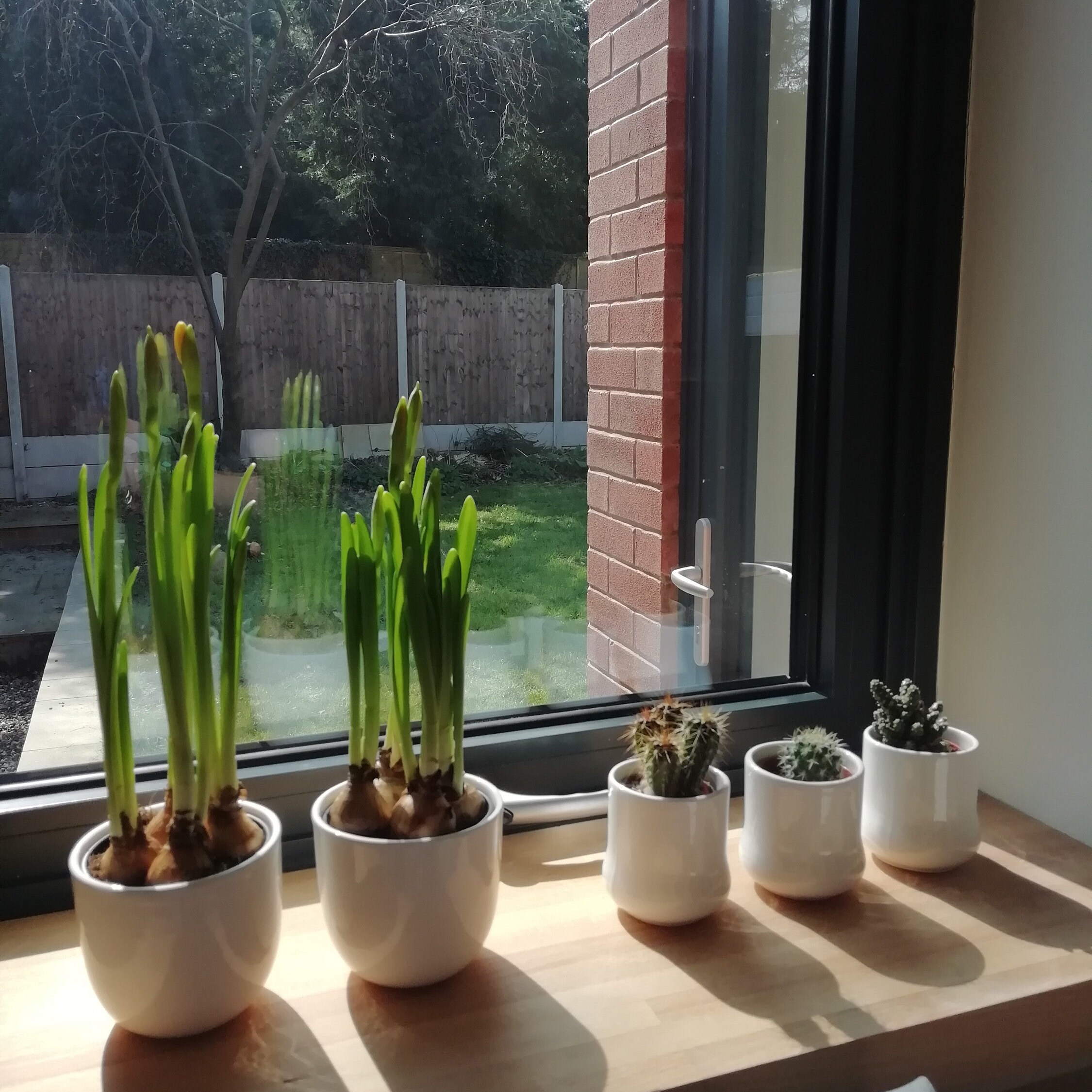 China Tumbler. Ceramic Coffee Beaker. Simple Cup. Contemporary | Etsy