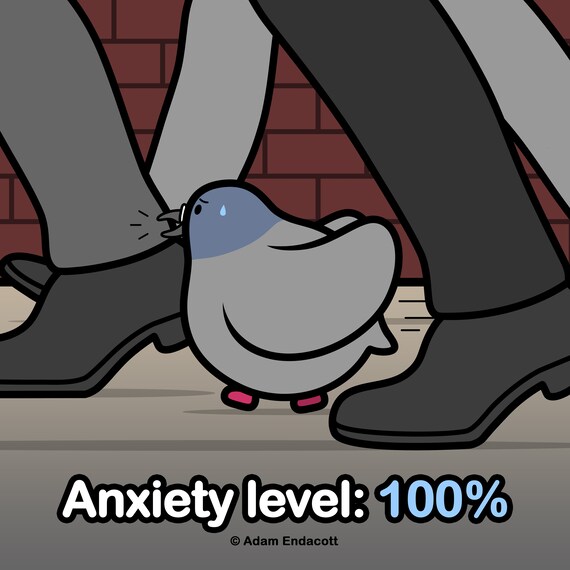 Smidgeon Anxiety Level: 100% Pigeon Square Print - Etsy UK