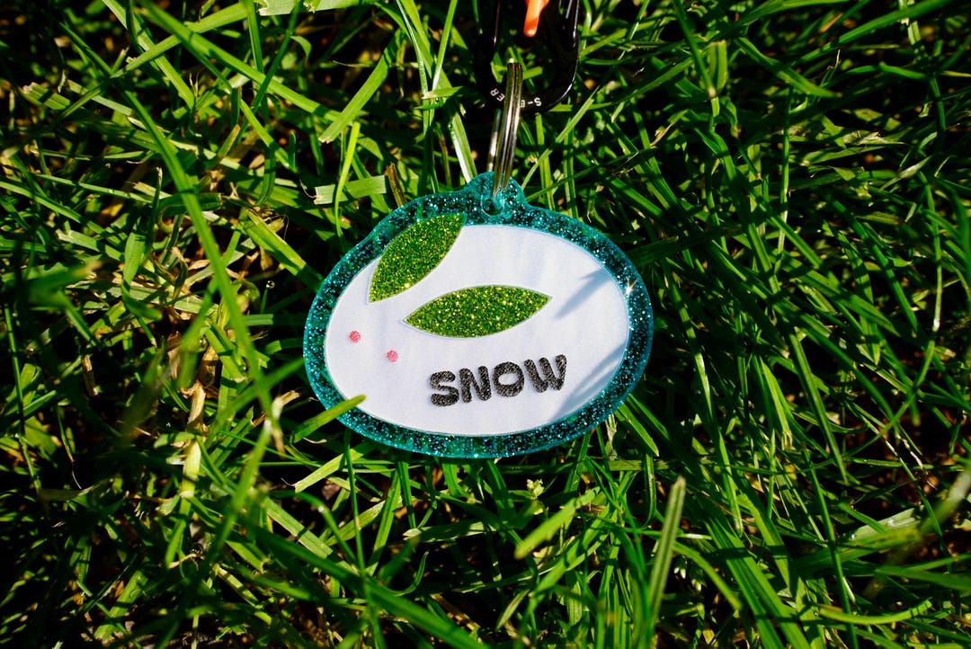 Snowball Rabbit Custom Pet ID Tag for Collar & Harness, Personalized ...