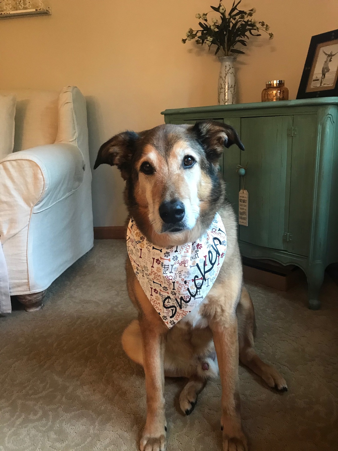 Ruff Woof Grrr Word on Dog Bandana Dog Bandana Dog - Etsy