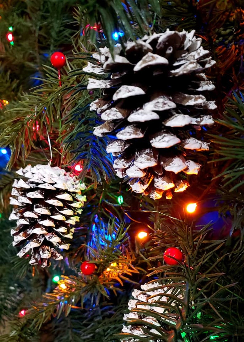 Christmas Pine Cone Snow Tipped Pine Cone Frosted Pine - Etsy