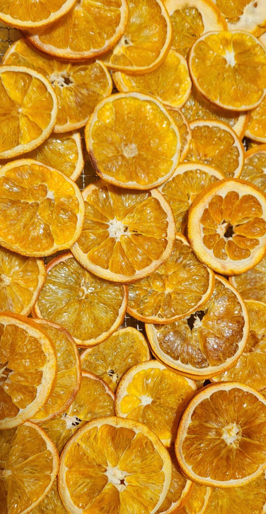 Dehydrated Orange 1/2 POUND Bag Orange Slices Dried Oranges Mixology ...