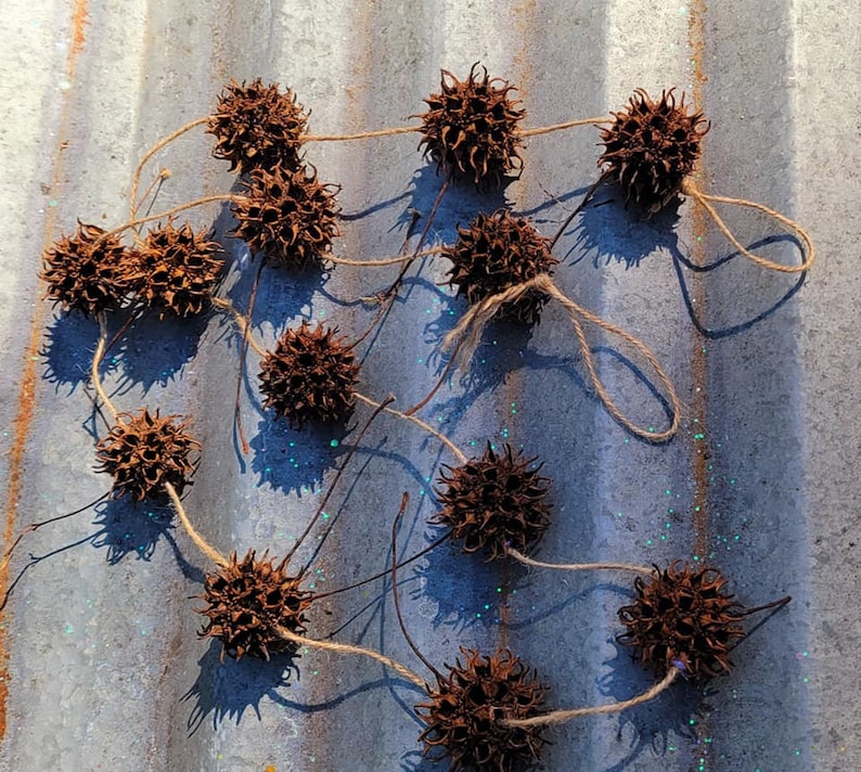 10 Drilled Sweet Gum Balls , Sweet Gum Balls for Fall Garland, DIY ...