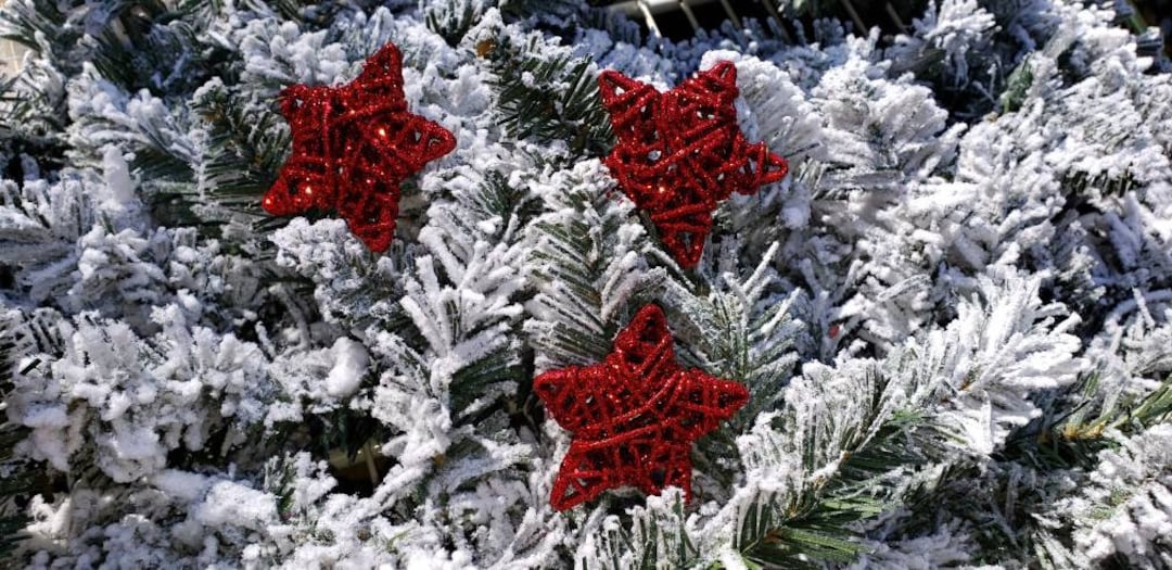 Red Star Ornament Christmas Red Glitter Ornament Glitter Star Christmas ...