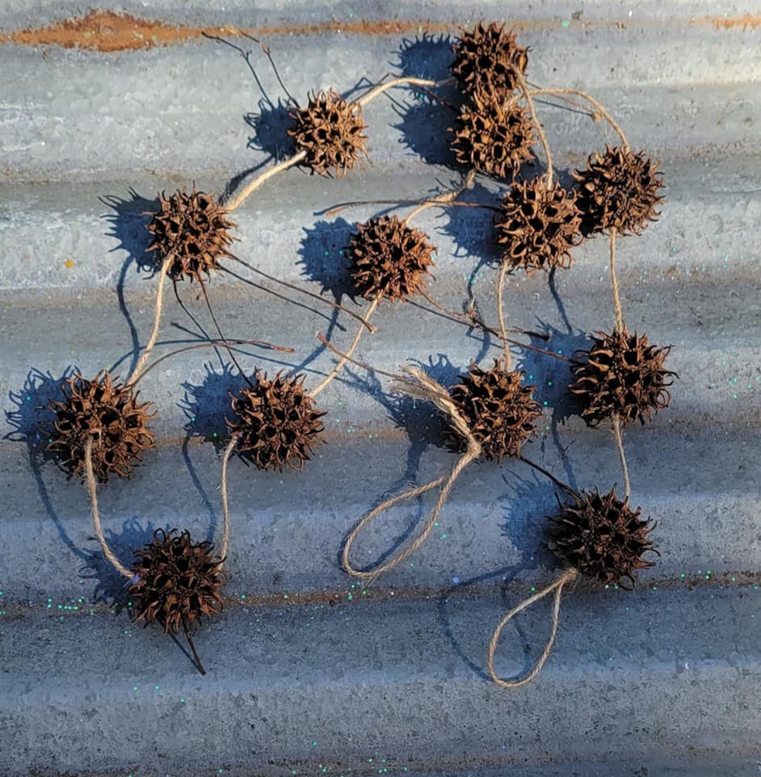 10 Drilled Sweet Gum Balls , Sweet Gum Balls for Fall Garland, DIY ...