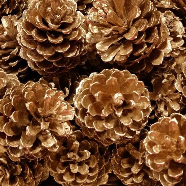 Gold Pine Cones - Etsy