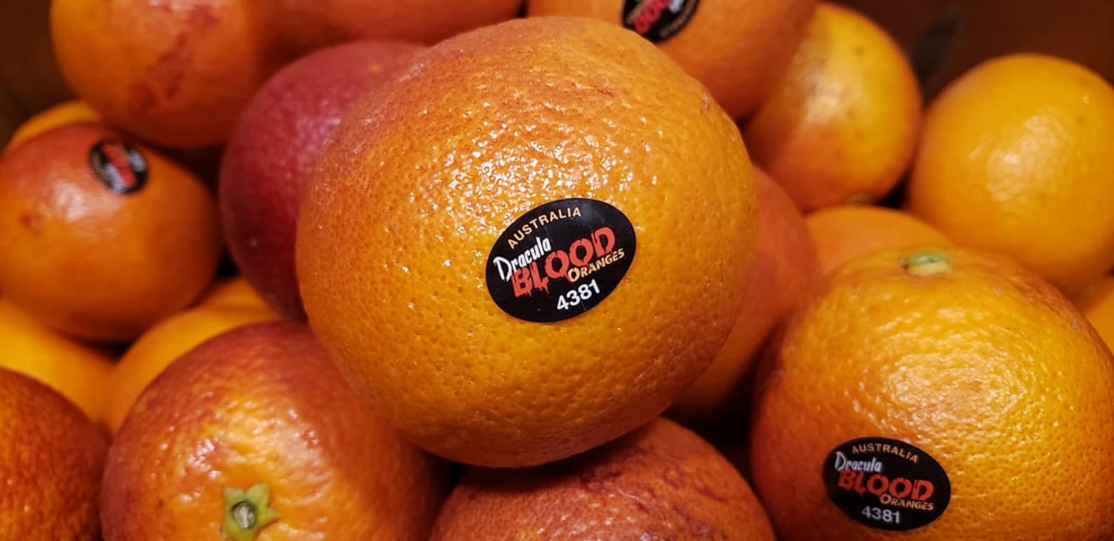 Dehydrated Blood Orange 20 Perfect Slices in a Bag Imported Blood ...