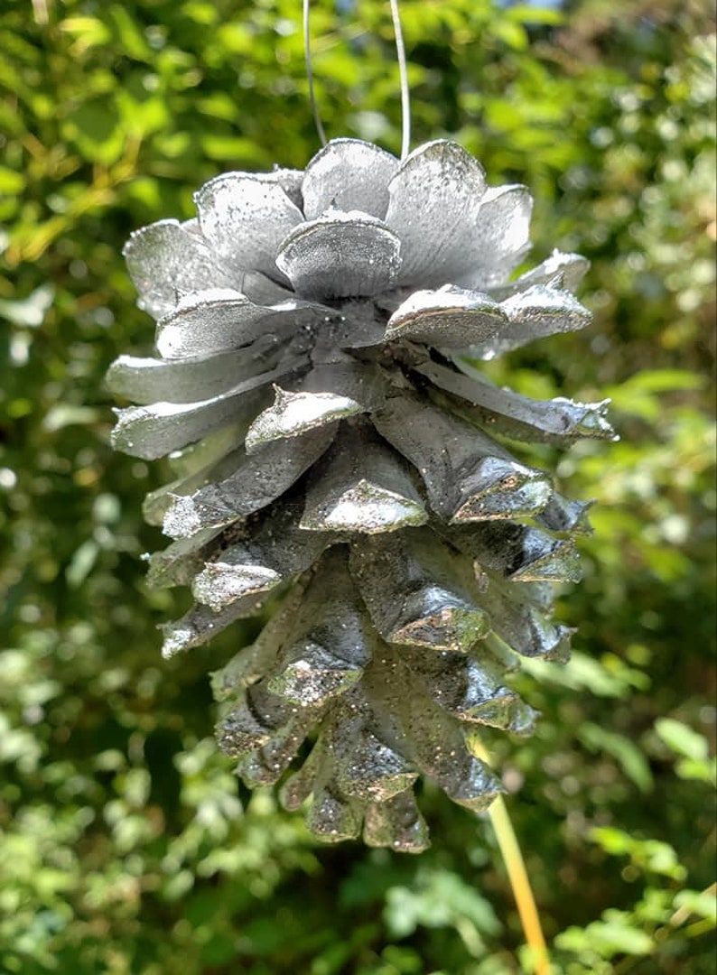 Silver Pine Cone Ornament Silver Pinecones Set of 6 Silver | Etsy