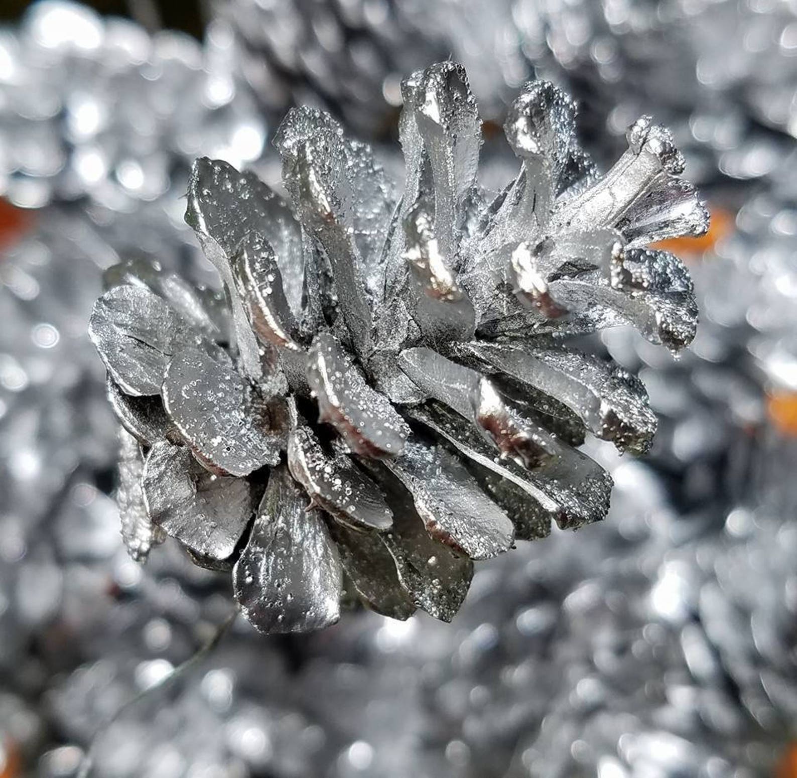 Christmas Pine Cone Silver Pine Cone With Stem Silver Pine | Etsy