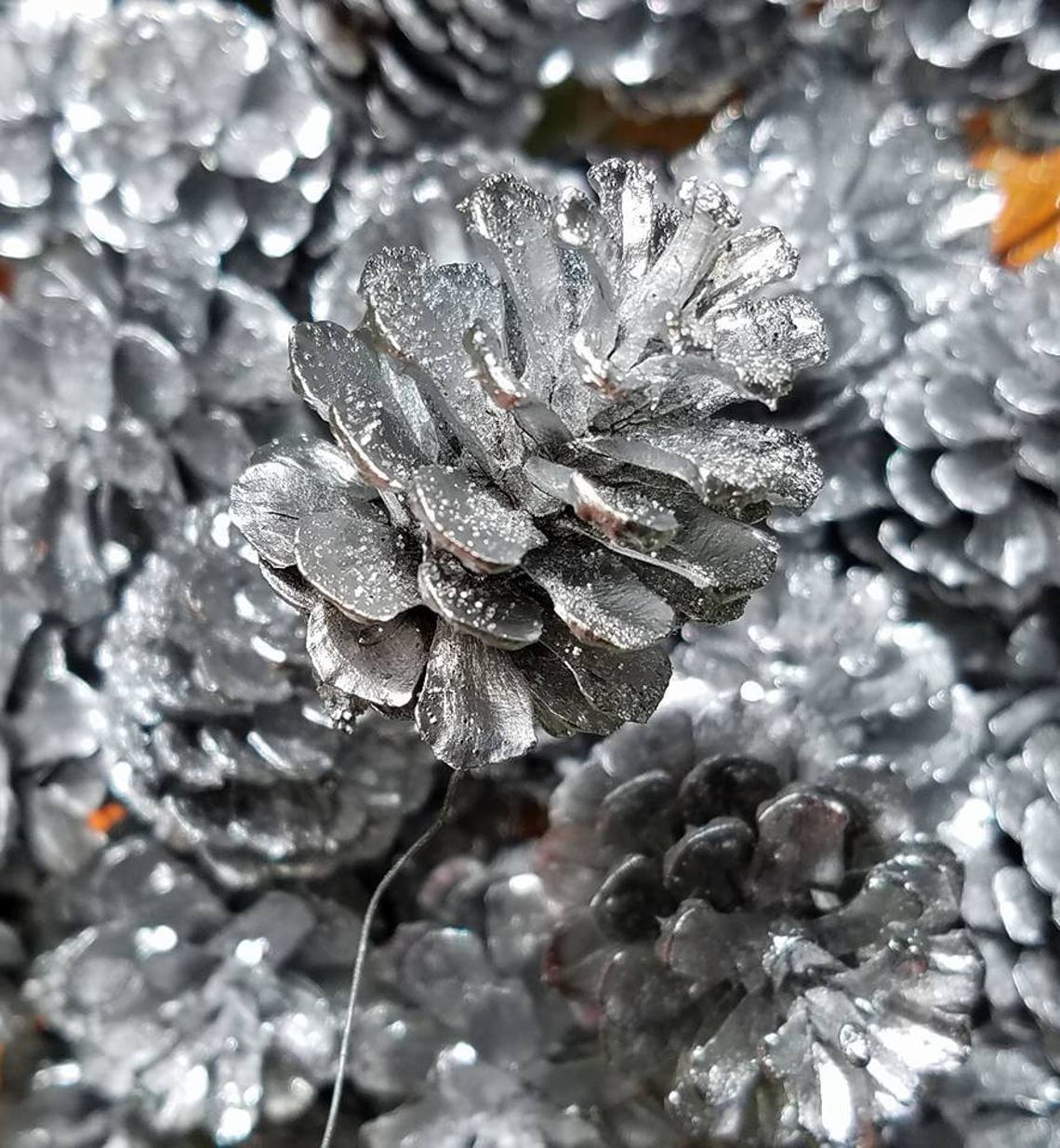 Christmas Pine Cone Silver Pine Cone With Stem Silver Pine - Etsy