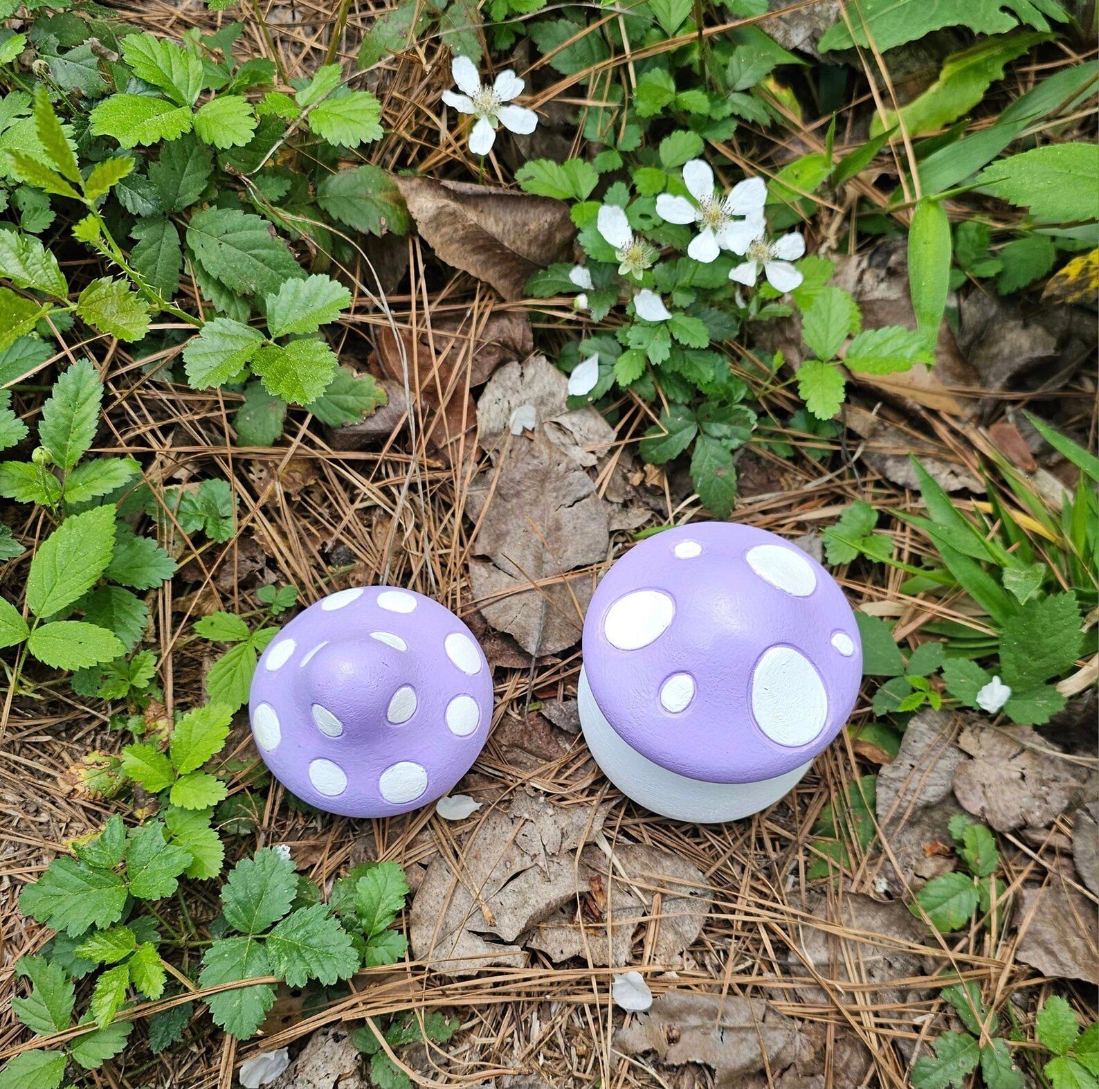 Purple Mushroom Trinket Box, Mushroom Stash Jar, Mushroom Jar, Mushroom ...