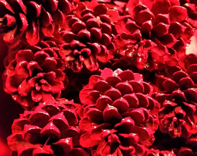 Christmas Pine Cones, Red Pine Cones, Red Painted Pine Cones 1 DOZEN ...