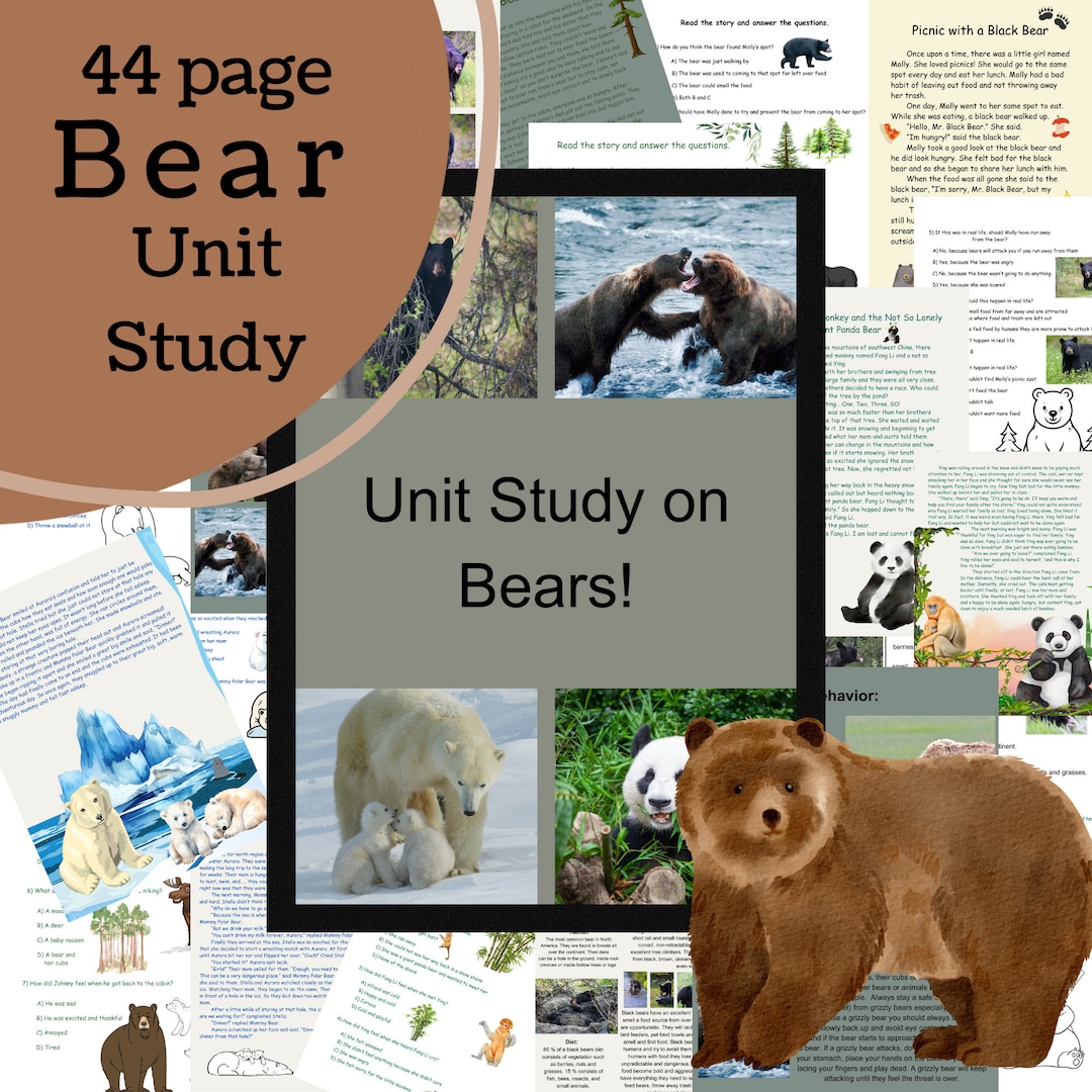 Bear Unit Study Lesson Plan | Science Research Busy Binder | Zoology ...