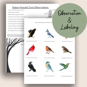 Homeschool Nature Study Journal. Charlotte Mason, Scavenger Hunt, Quiet ...