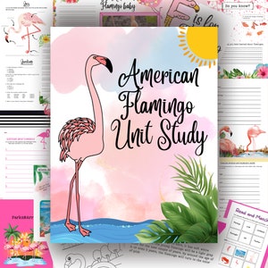 Flamingo Unit Study, Lesson Plans, Vocabulary, Unschooling, Charlotte ...