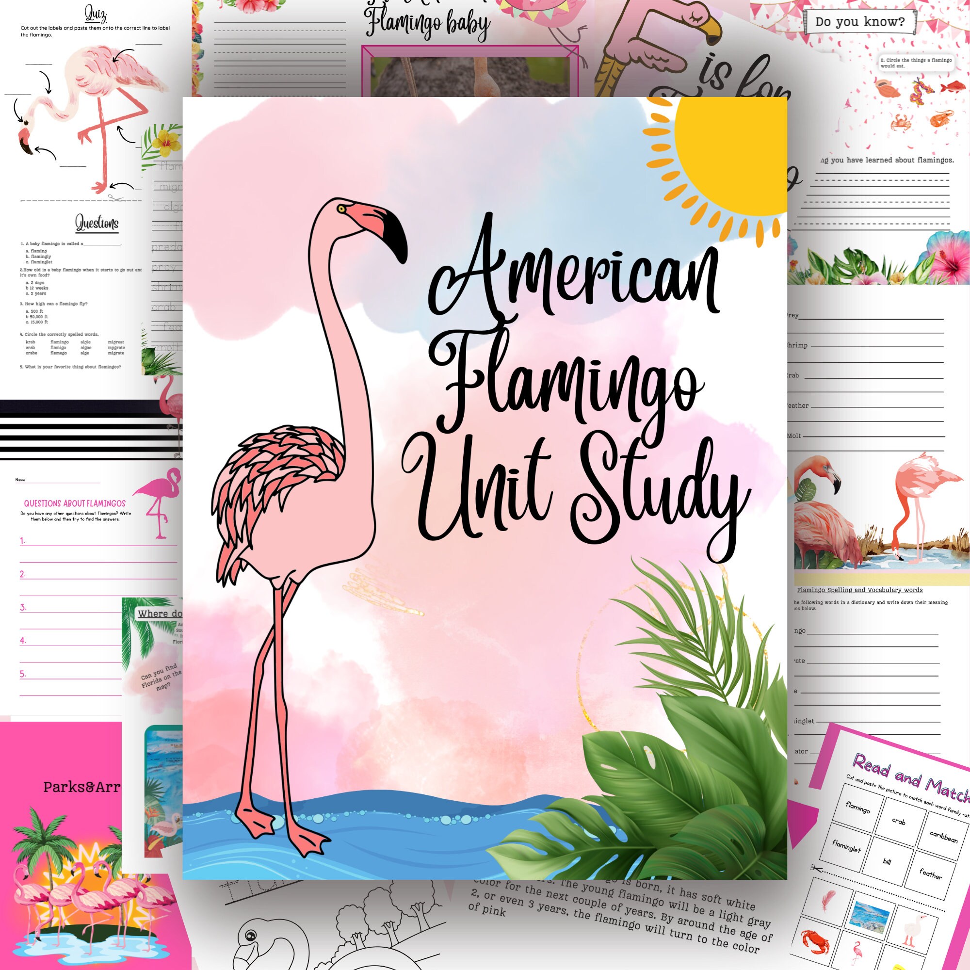 Flamingo Unit Study, Lesson Plans, Vocabulary, Unschooling, Charlotte ...