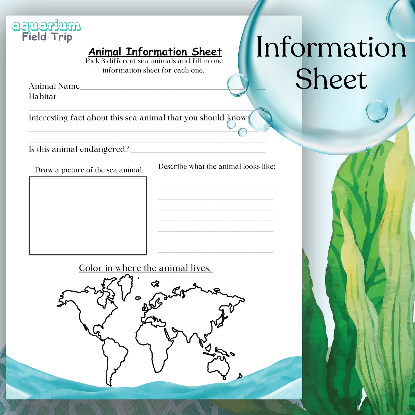 Aquarium Field Trip | Scavenger Hunt | Teacher Resource | Science ...