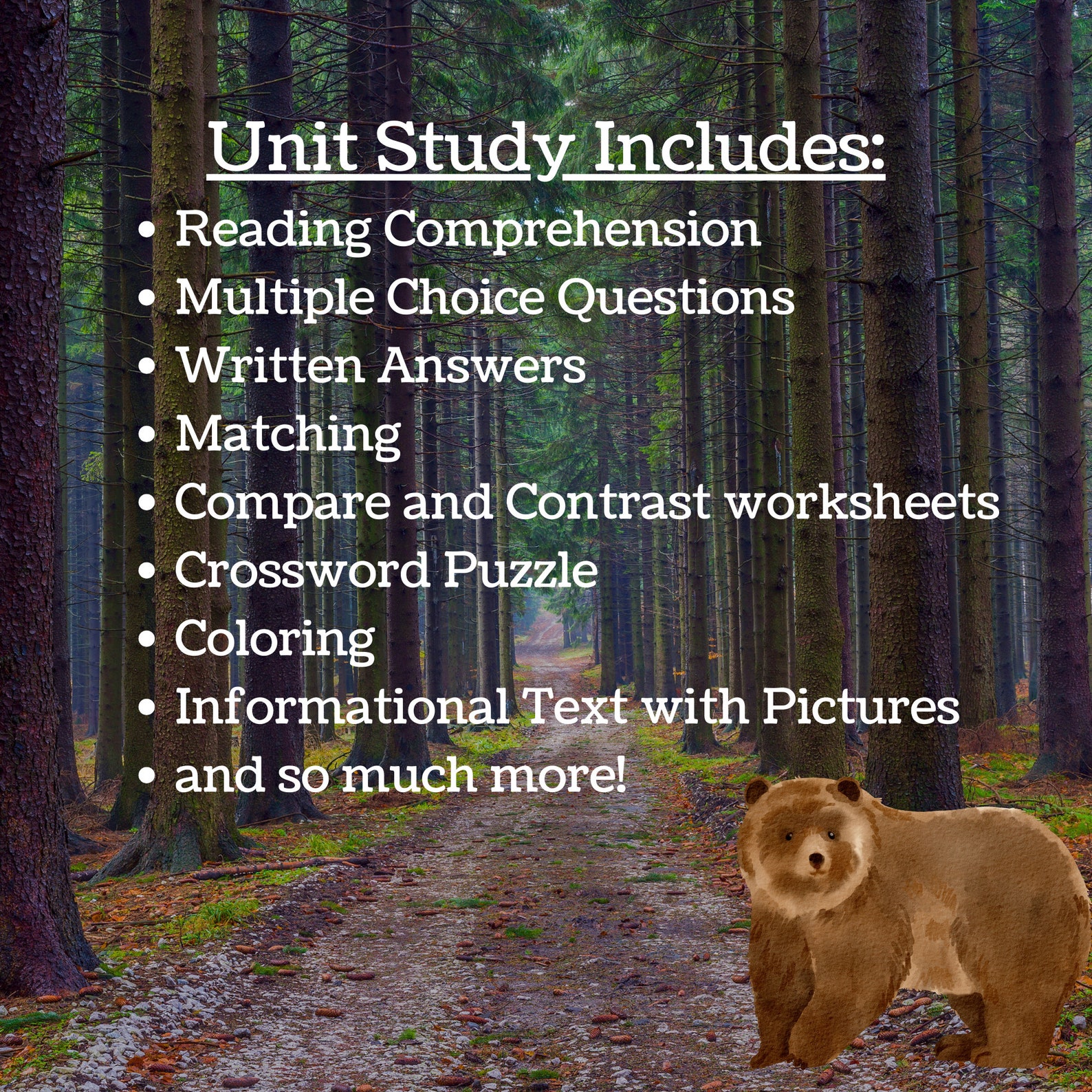Bear Unit Study Lesson Plan | Science Research Busy Binder | Zoology ...