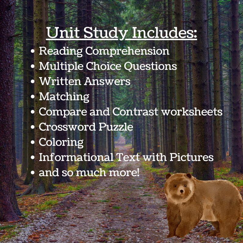 Bear Unit Study Lesson Plan | Science Research Busy Binder | Zoology ...