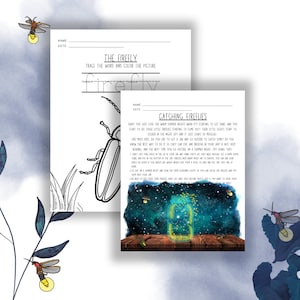 Firefly Unit Study, Nature Notebook, Insect Printable, Homeschool Unit ...