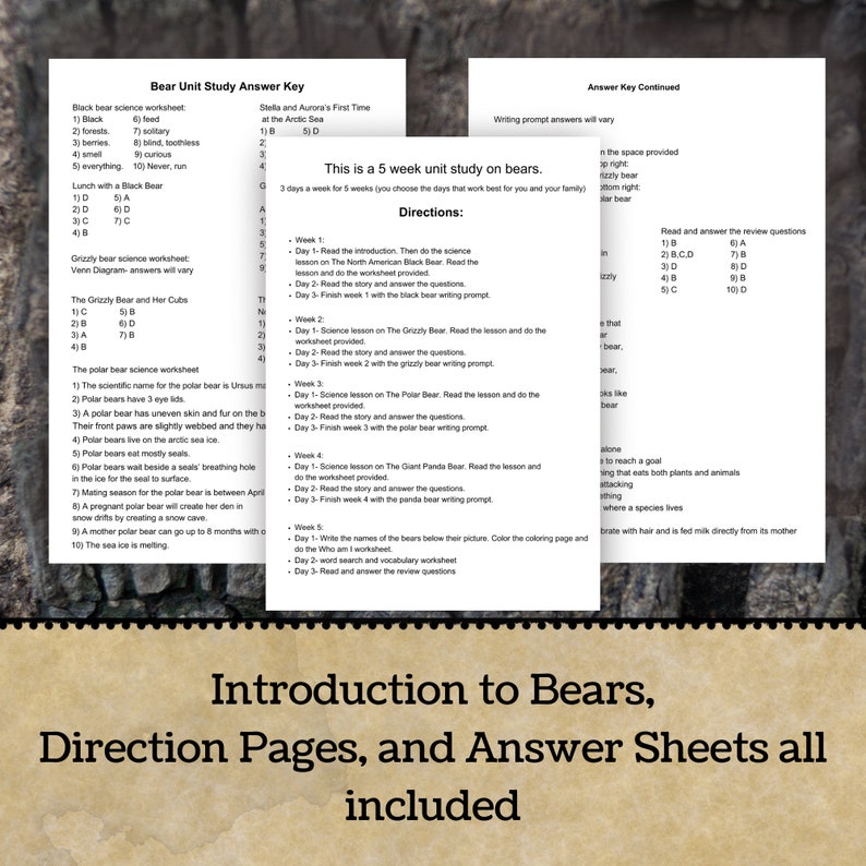 Bear Unit Study Lesson Plan | Science Research Busy Binder | Zoology ...