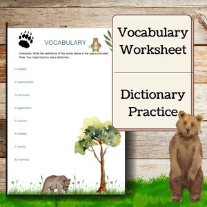 Bear Unit Study Lesson Plan | Science Research Busy Binder | Zoology ...