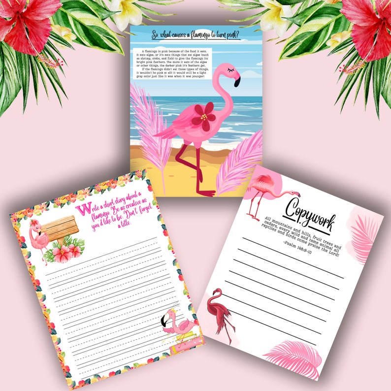 Flamingo Unit Study, Lesson Plans, Vocabulary, Unschooling, Charlotte ...