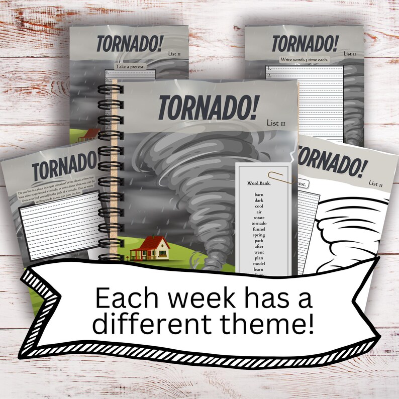 Second Grade Spelling Worksheets for Kids Homeschool Printable Quiet ...