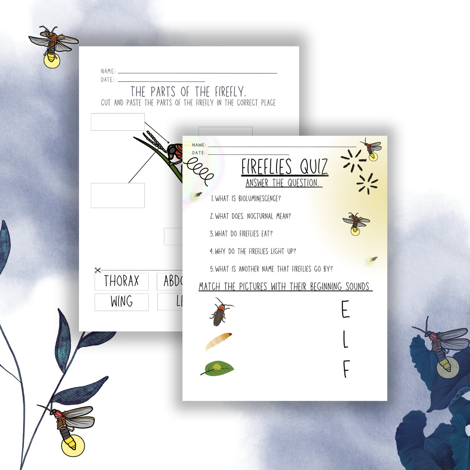 Firefly Unit Study, Nature Notebook, Insect Printable, Homeschool Unit ...