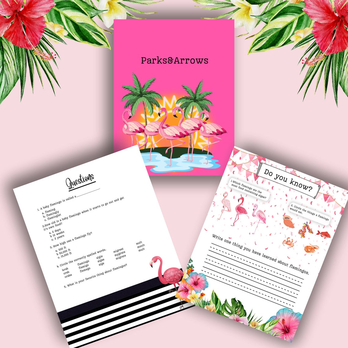 Flamingo Unit Study, Lesson Plans, Vocabulary, Unschooling, Charlotte ...