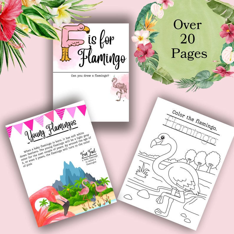 Flamingo Unit Study, Lesson Plans, Vocabulary, Unschooling, Charlotte ...
