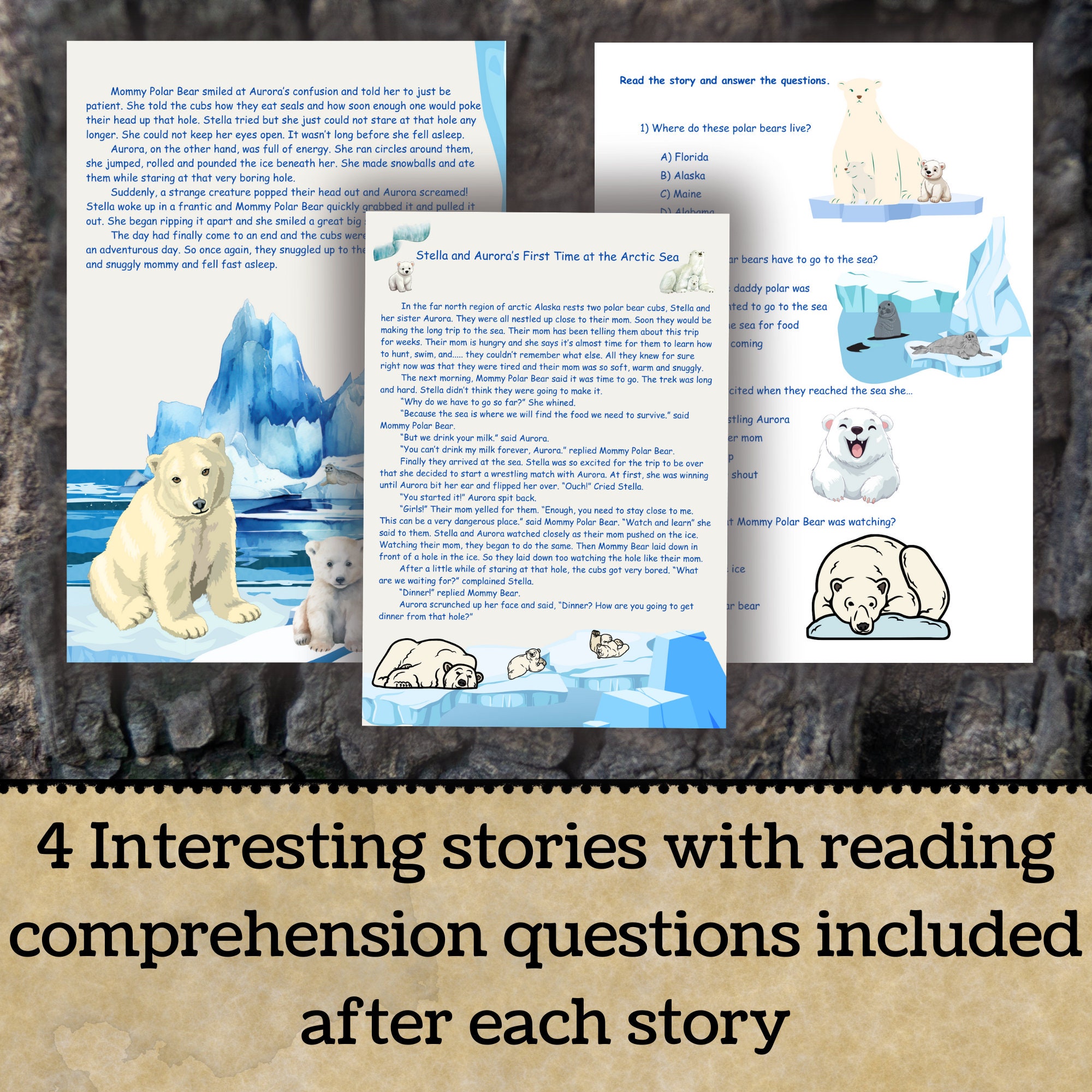 Bear Unit Study Lesson Plan | Science Research Busy Binder | Zoology ...