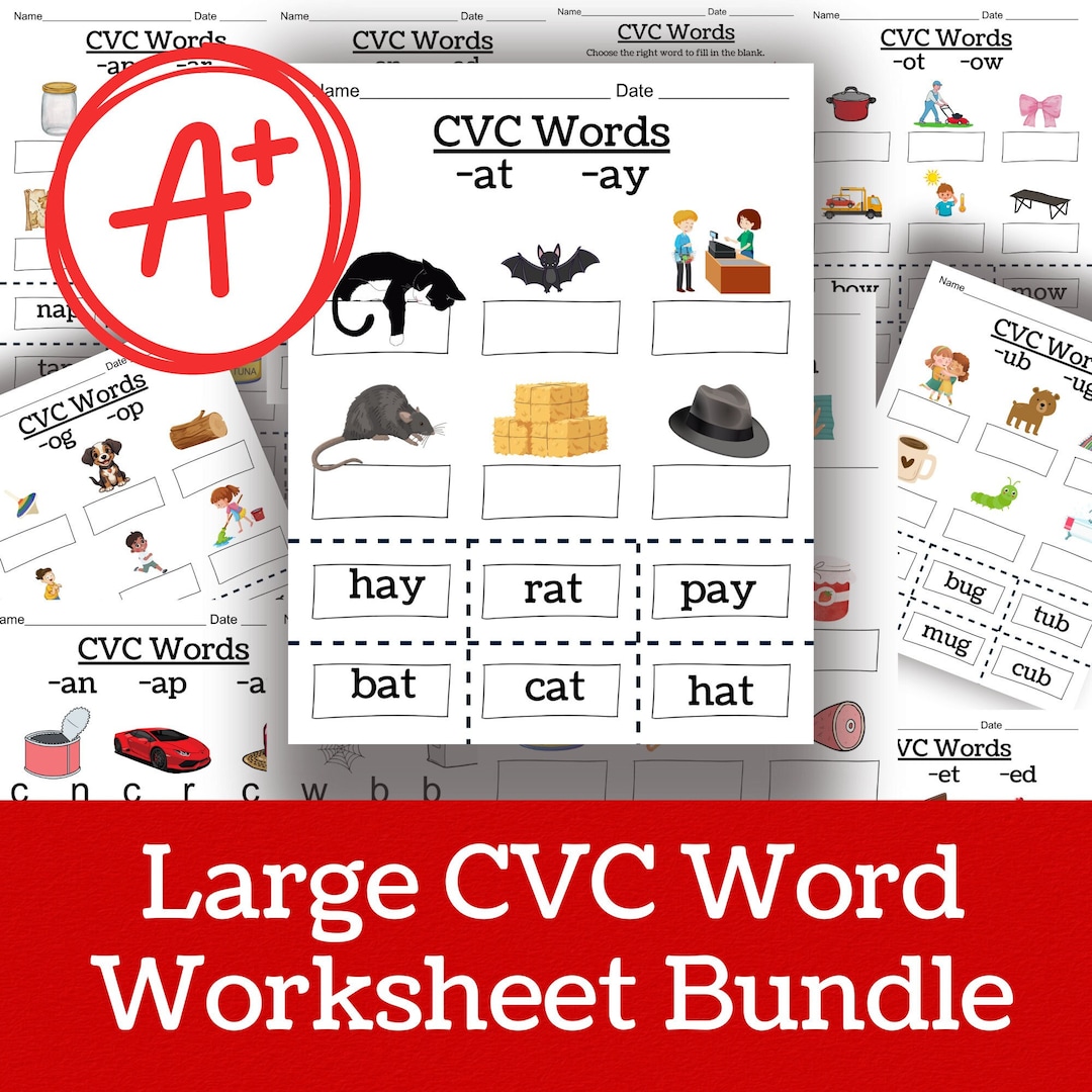 CVC Words | Kindergarten Worksheets | Busy Binder | Preschool ...