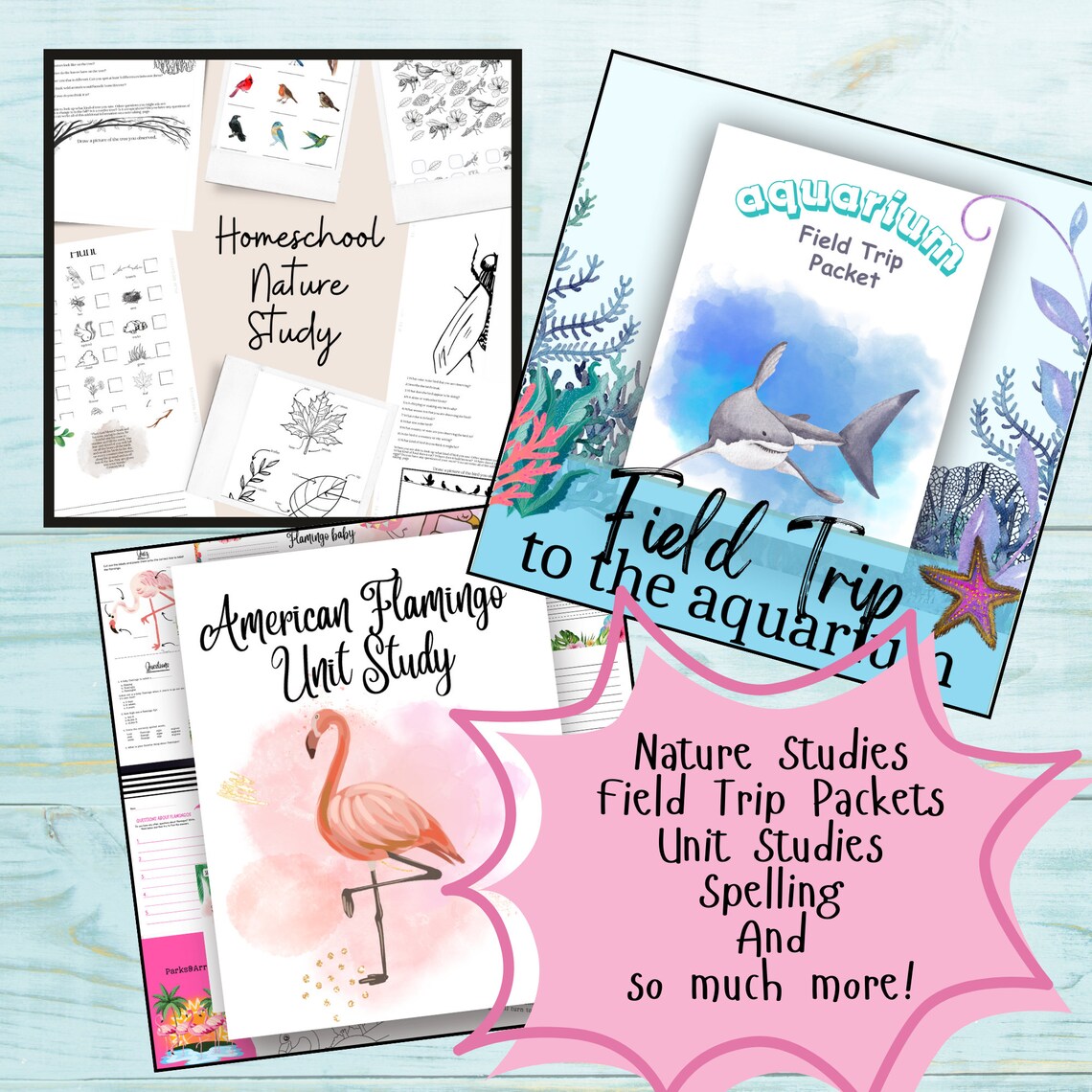 Homeschool Field Trip Worksheet Packet for Grades 3-6 - Educational ...