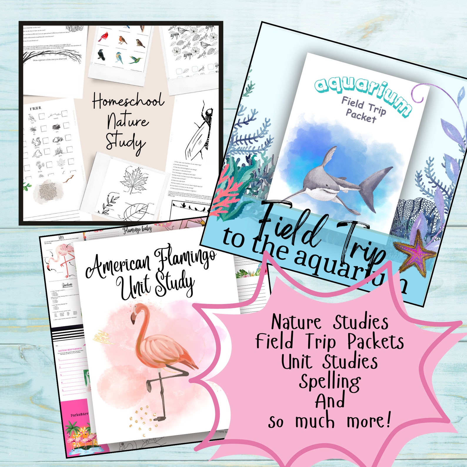 Homeschool Field Trip Worksheet Packet for Grades 3-6 - Educational ...
