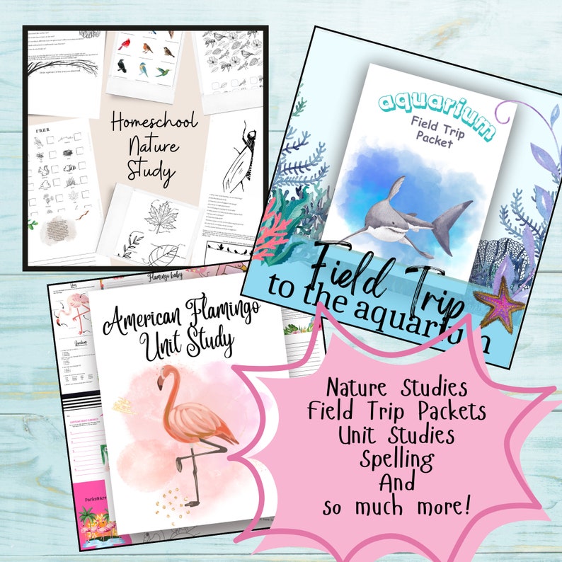 Homeschool Field Trip Worksheet Packet for Grades 3-6 - Educational ...