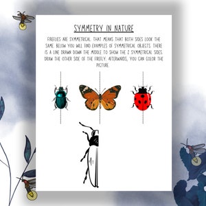 Firefly Unit Study, Nature Notebook, Insect Printable, Homeschool Unit ...