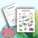 Aquarium Field Trip Planner Scavenger Hunt Teacher Resource - Etsy