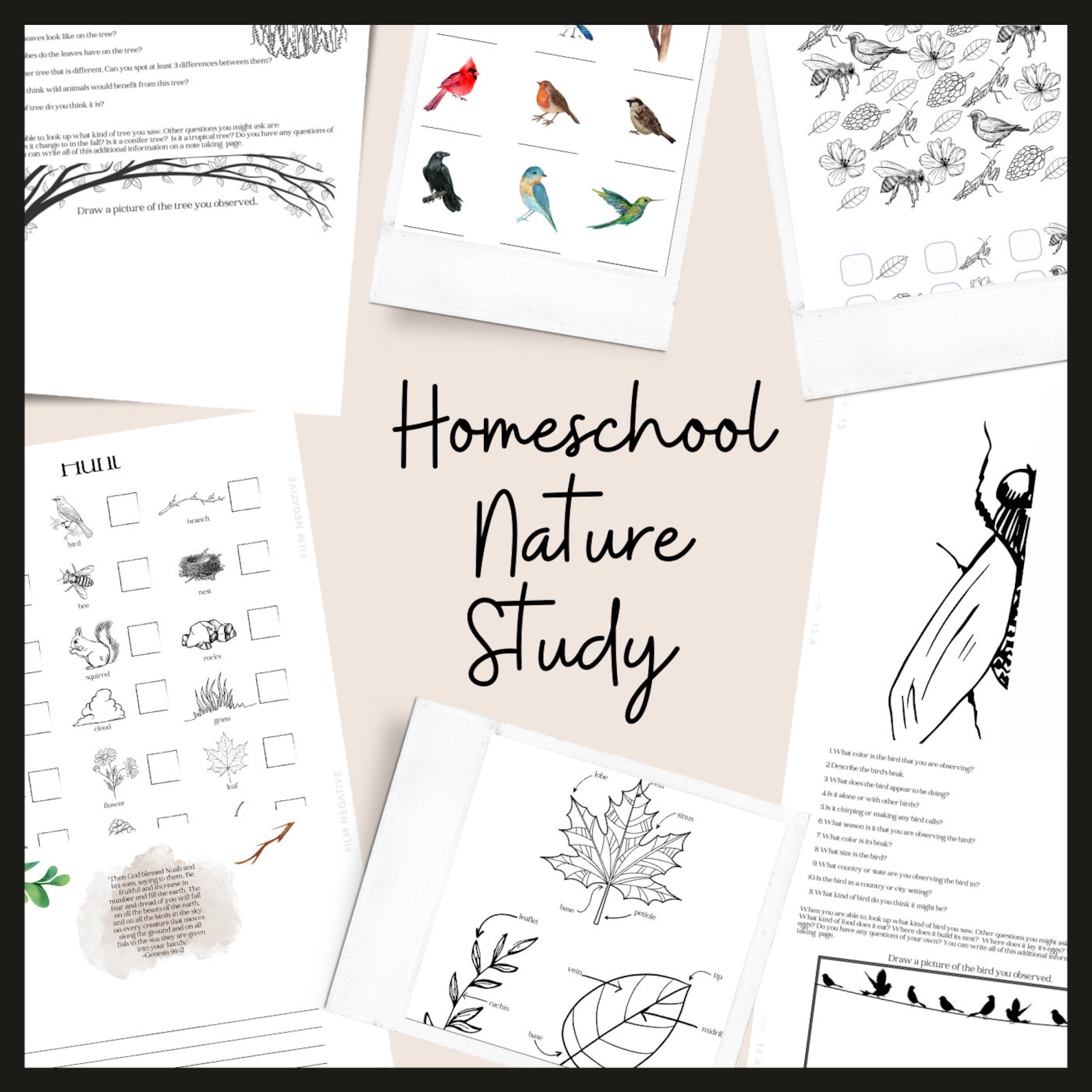 Homeschool Nature Study Journal. Charlotte Mason, Scavenger Hunt, Quiet ...