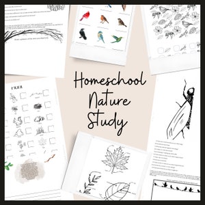 Homeschool Nature Study Journal. Charlotte Mason, Scavenger Hunt, Quiet ...