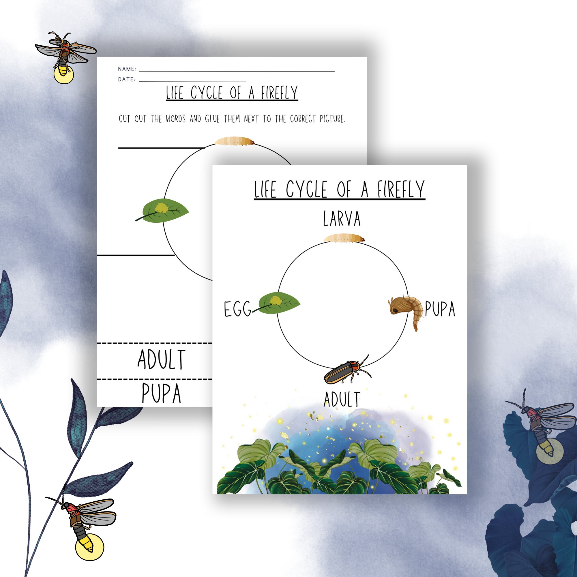 Firefly Unit Study, Nature Notebook, Insect Printable, Homeschool Unit ...