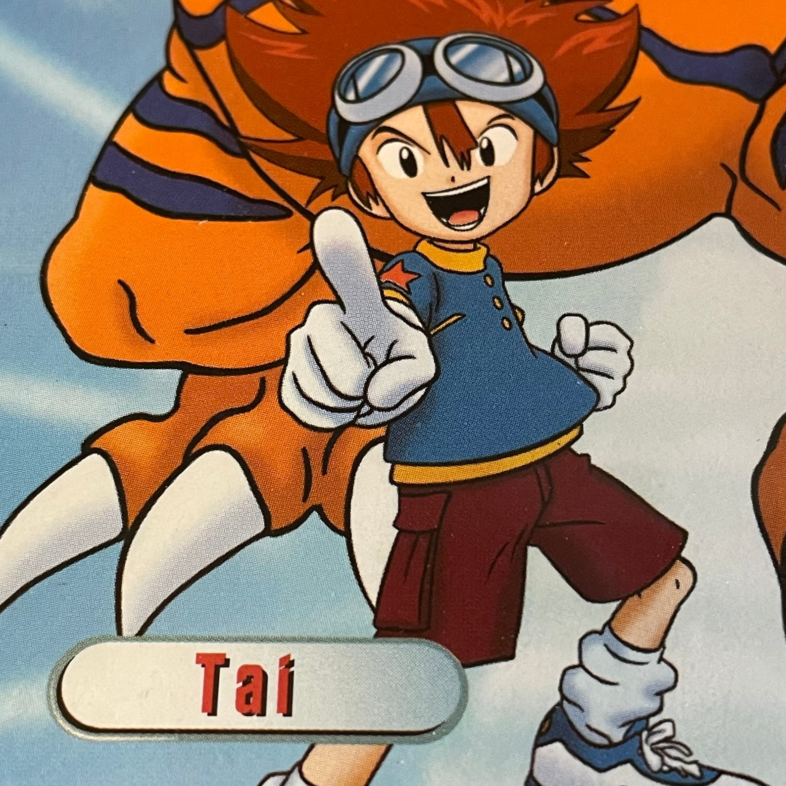 Vintage 1999 Digimon Digital Monsters 8x8 Carnival Glass - Etsy