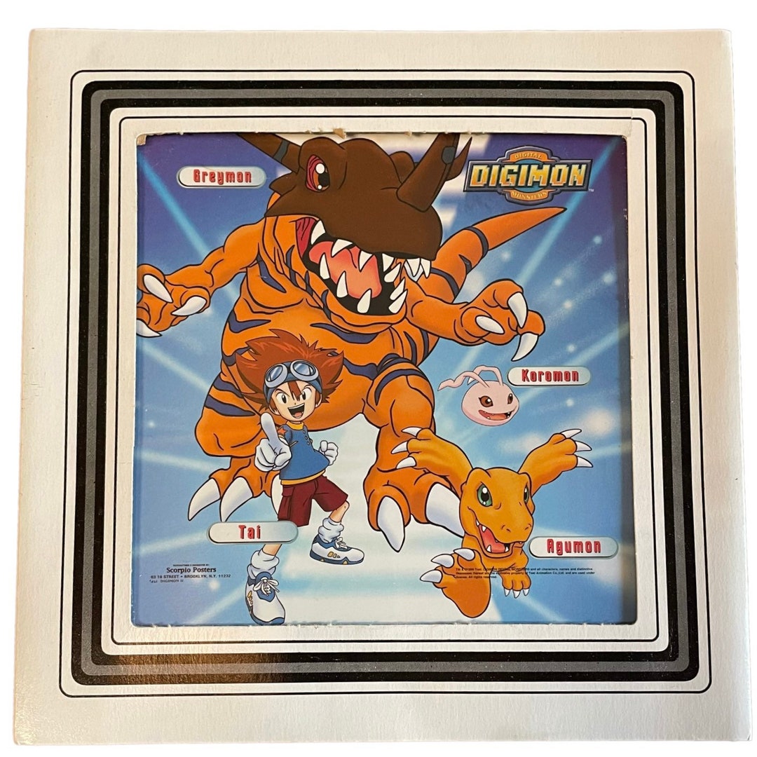 Vintage 1999 Digimon Digital Monsters 8x8 Carnival Glass - Etsy