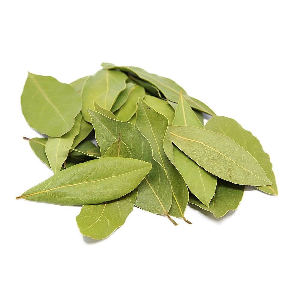 Benefits Of Laurel Leaf Tea at Paige Katie blog