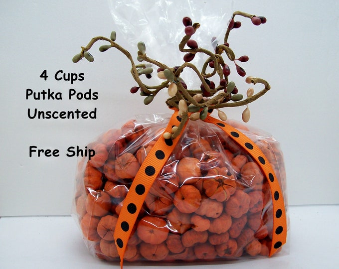 4 Full Cups Orange Putka Pods Unscented Potpourri Mini Pumpkins Dried ...