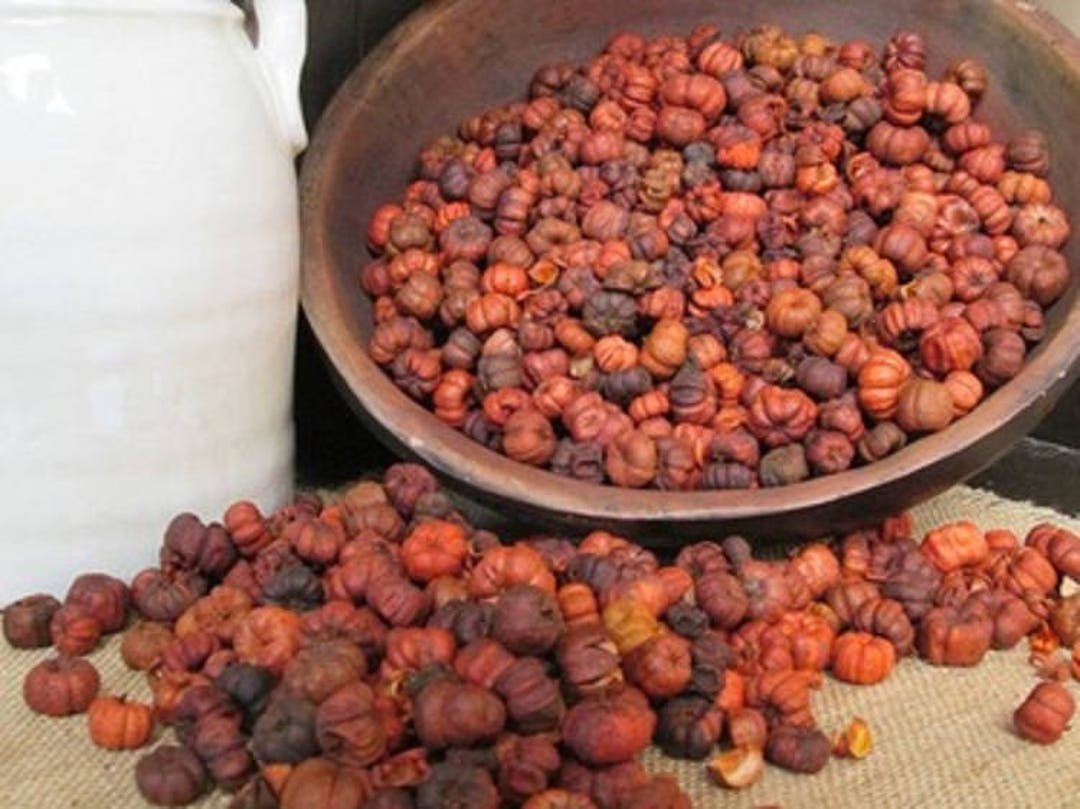 18 Cups Putka Pods 1 Pound Orange Unscented Potpourri Mini Pumpkins ...