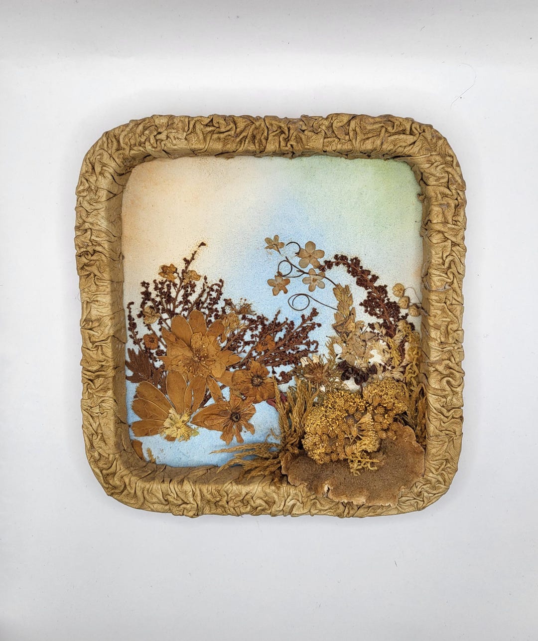 Vintage Dried Flowers Framed 1990s Wall Hanging Decor Herbarium ...